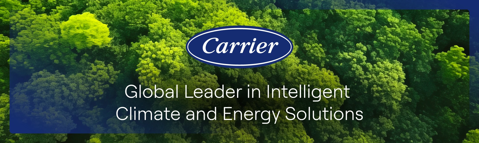 Global market leader for intelligent climate and energy solutions ...