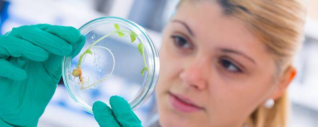 Agroscope building test station in Sursee | News | Wirtschaftsförderung ...