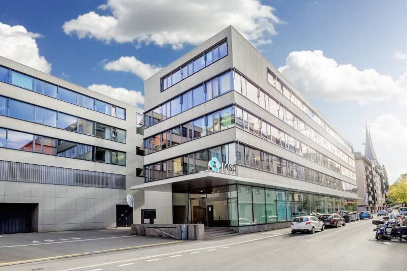 MSD siedelt neue Ausgliederung in Luzern an | News ...
